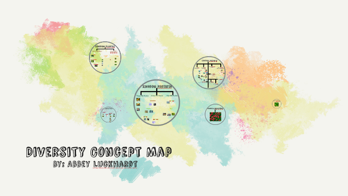 Diversity Concept Map by Abbey Luckhardt