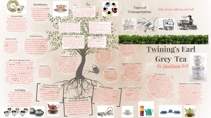 Twining's Tea by Maddi Bell on Prezi