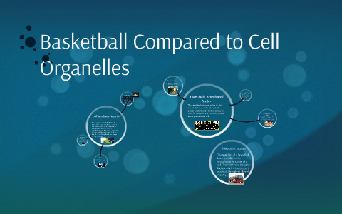 Basketball Compared to Cell Organelles by Trevor Gordon on Prezi