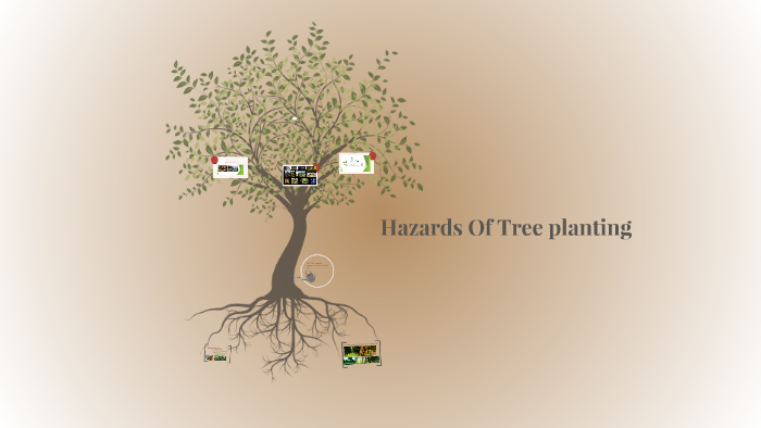 Hazards Of Tree planting by s m on Prezi