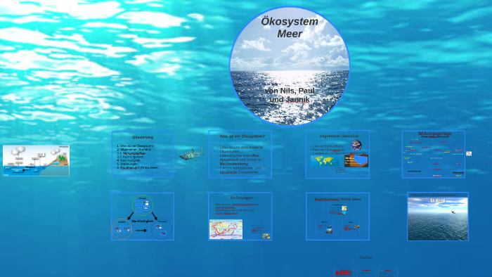 Ökosystem Meer by Paul S on Prezi