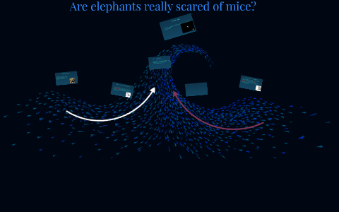 Are elephants really scared of mice? by A C on Prezi