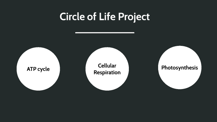 Circle of Life Science Project by Amber Liu on Prezi