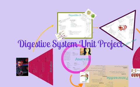 Digestive System Unit Project by Stephanie R
