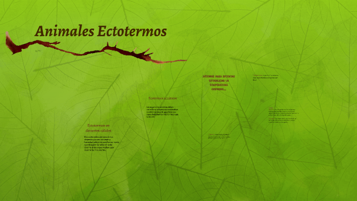 Animales Ectotermos by Cami Gigena on Prezi