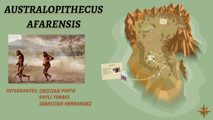 Australopithecus afarensis by Ehyli Torres on Prezi