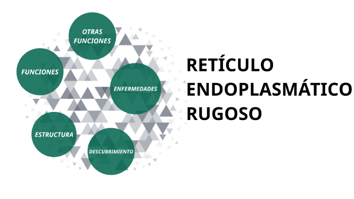 RER - Biología by Juan Carlos Madueño on Prezi