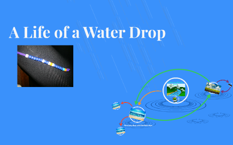 A Life of a Water Drop by Jenna Bryan on Prezi