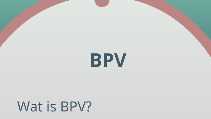 Wat is BPV? by Alain ter Horst