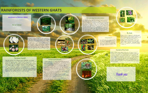Rainforests of Western Ghats by RAMYA BHANUJA TUMMALA on Prezi