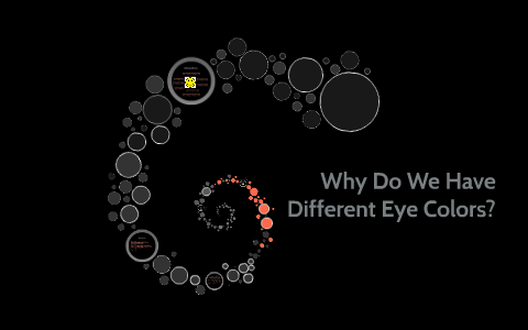 Why Do We Have Different Eye Colors? by Keileigh Laws on Prezi