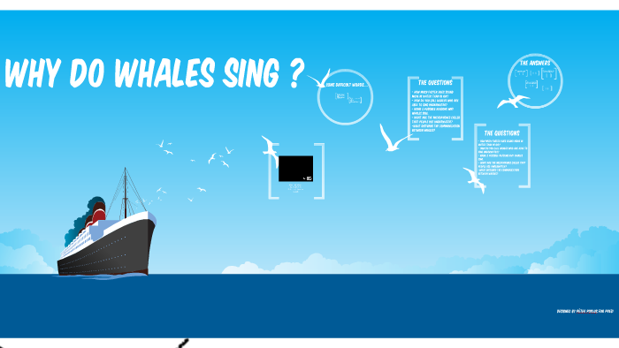 Why do whales sing ? by m de lange on Prezi