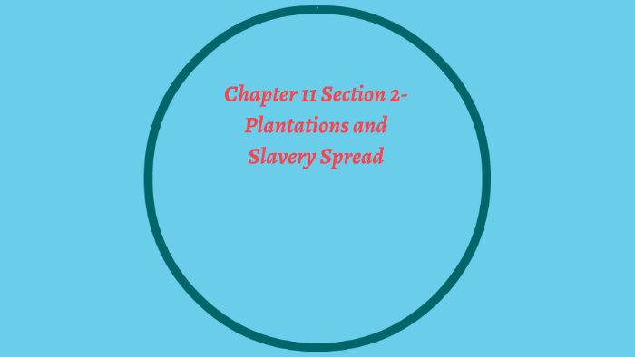 Chapter 11 Section 2-Plantations and Slavery Spread by Thomas Polkki on ...