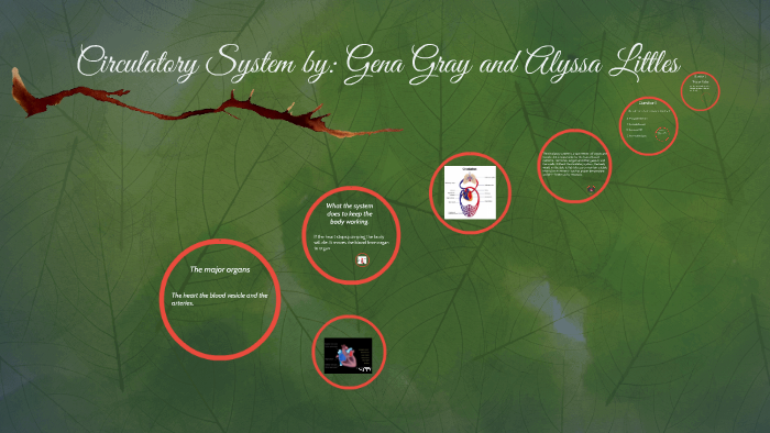 Circulatory System by: Gena Gray by Gena Gray on Prezi