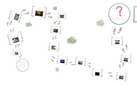 Environmental Movement Timeline by Cosette Heazlewood on Prezi