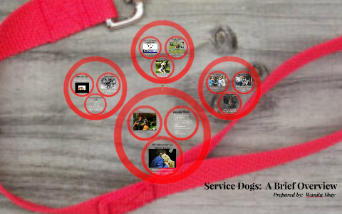 Service Dogs: A Brief History by wanita shay on Prezi