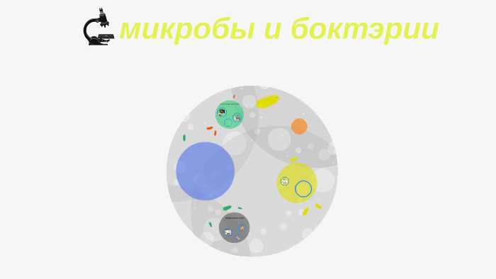 микробы и боктэрии by никита головин on Prezi