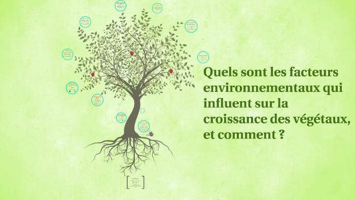 Les facteurs influant sur la croissance des végétaux by Thibault ...
