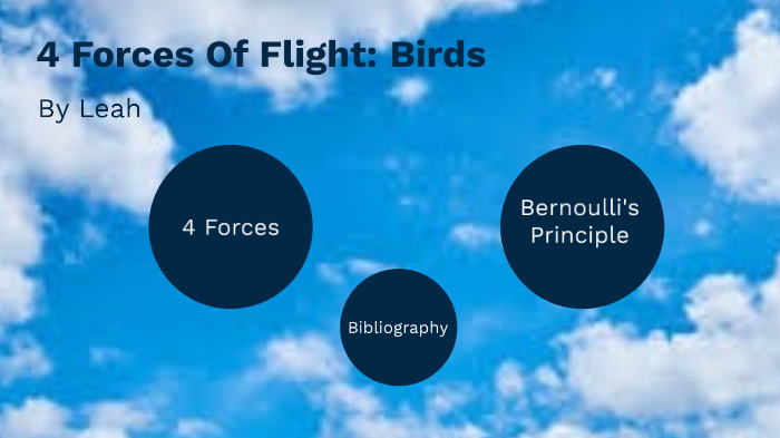 4 Forces of Flight: Birds by LEAH DANSER on Prezi