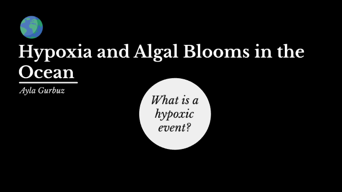 Hypoxia and Algal Blooms in the Ocean by Ayla G on Prezi