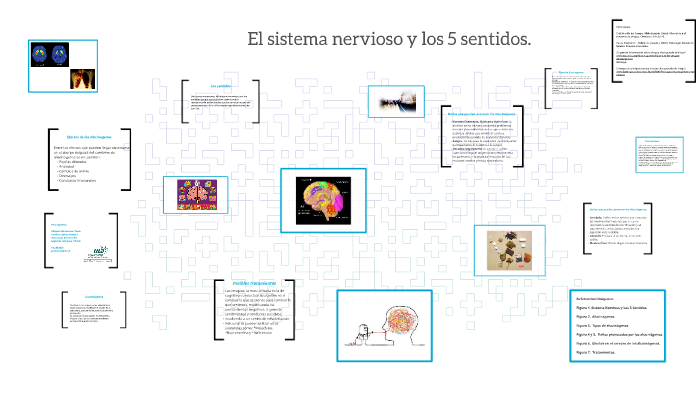 El sistema nervioso y los 5 sentidos. by Madisol Ramirez on Prezi