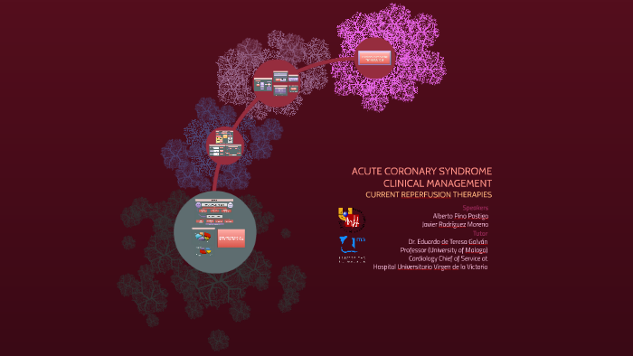 SCA poster by Alberto Pino on Prezi
