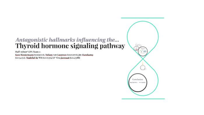 Thyroid hormone signaling pathway by Madelief de Wit on Prezi