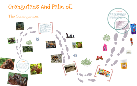 Palm Oil & Orangutans by Miriam Fares