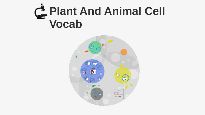 Plant and Animal Cell Vocab. by Dominic Carrisalez on Prezi