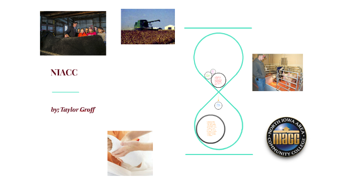 5 things i learned at niacc by taylor groff on Prezi