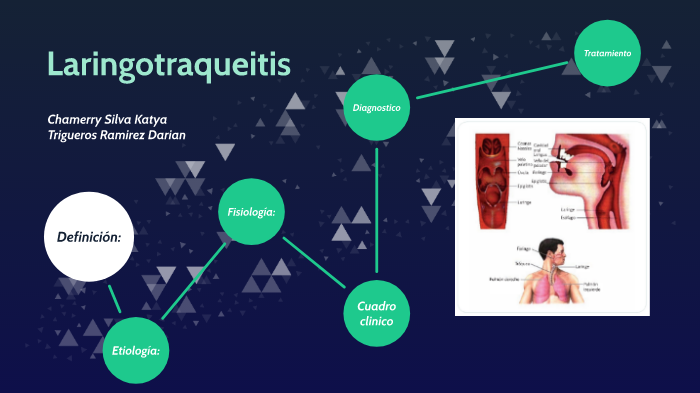Laringotraqueitis by katya chamerry on Prezi
