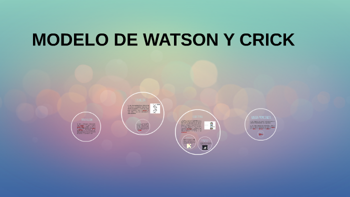 MODELO DE WATSON Y CRICK by Andrea Matute on Prezi