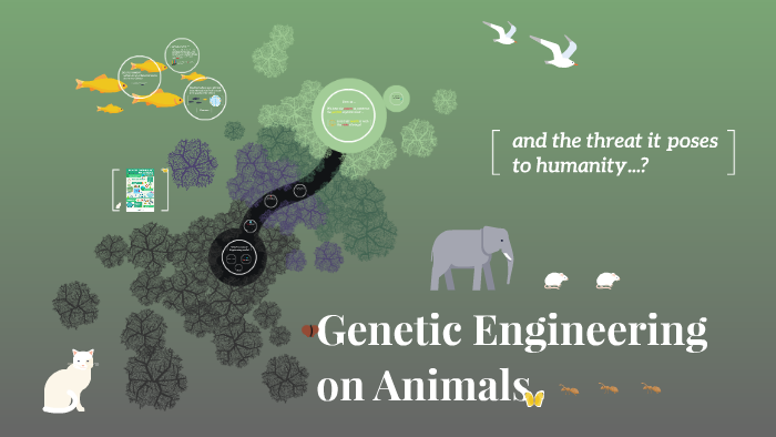 Genetic Engineering on Animals by RIchard Tea on Prezi