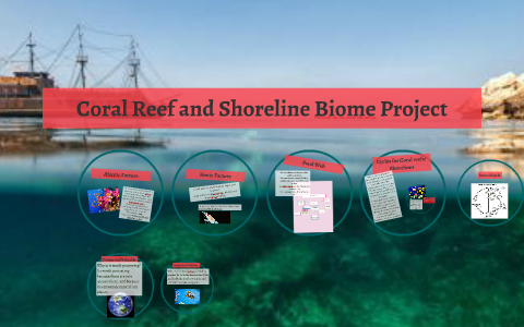 Coral Reef and Shoreline Biome Project by Lexi Parsons on Prezi