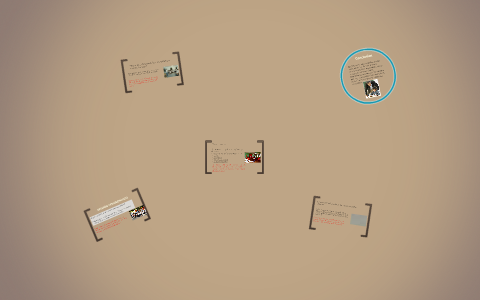 "Superar la invisibilización en las transiciones escolares" by monica ...