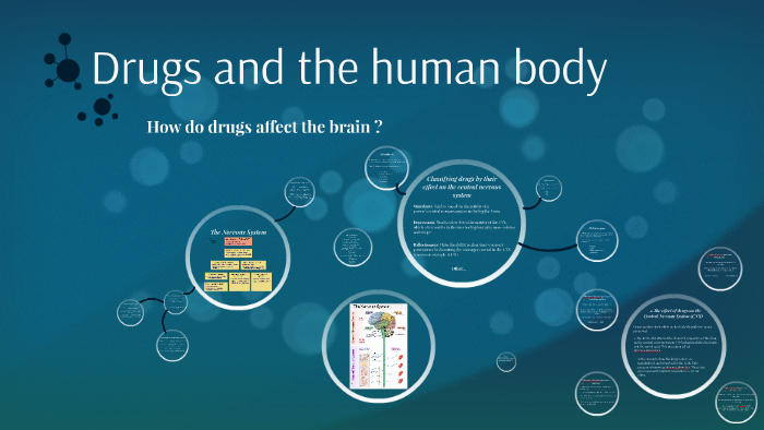 Drugs and the human body by Ali Perviz Chaudhry on Prezi Next