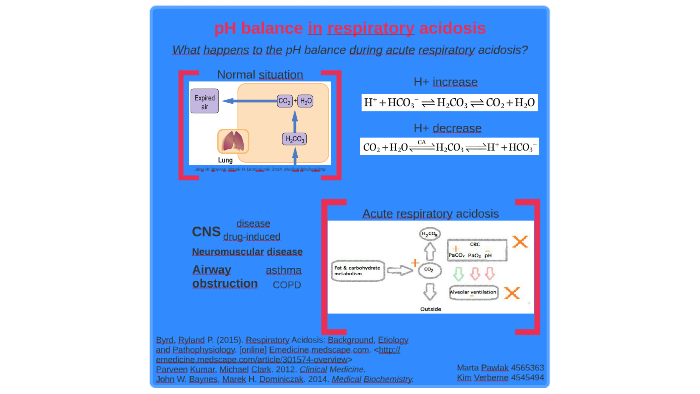 pH balance in respiratory acidosis by Kim Verberne