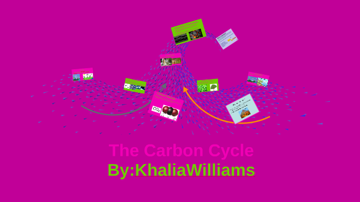 The Carbon Cycle by khalia williams