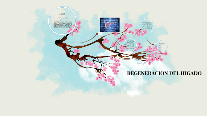 REGENERACION DEL HIGADO by indira prieto almeida