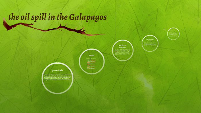 the oil spill in the Galapagos by Rafay Akhtar on Prezi