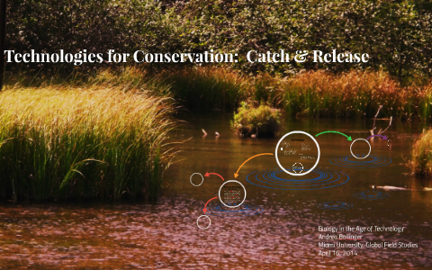 Technologies for Conservation: by Andrea Ballinger on Prezi