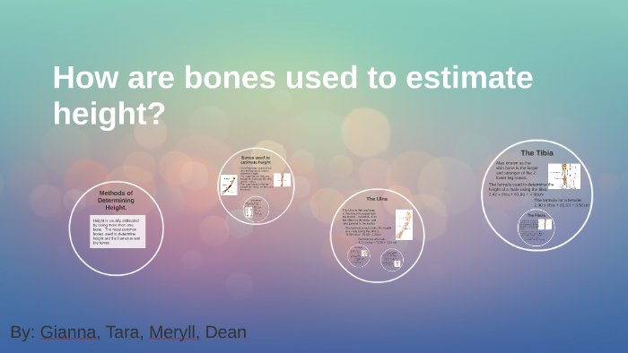 How are bones used to estimate height? by Gianna Moneta on Prezi