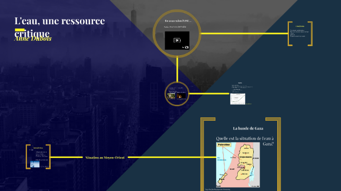 L'eau, une ressource critique by Anne Dubois