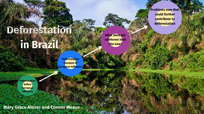 Amazon Deforestation in Brazil by Mary Grace Altizer on Prezi