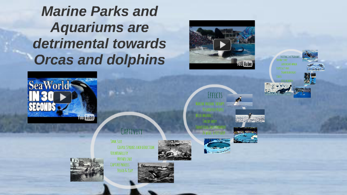 Persuasive Speech by Piikea Lopes on Prezi