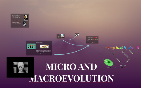 MICRO AND MACROEVOLUTION by Paula Samaniego on Prezi