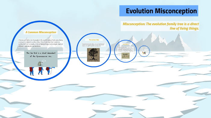 Evolution Misconception by Ashley Trefethen