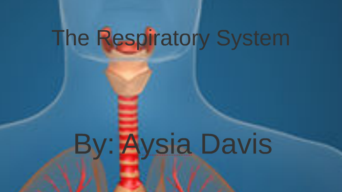 respiratory system by aysia davis on Prezi