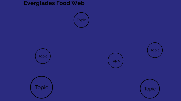 Food Web Everglades National Park