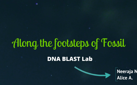 DNA BLAST Lab by Alice An on Prezi